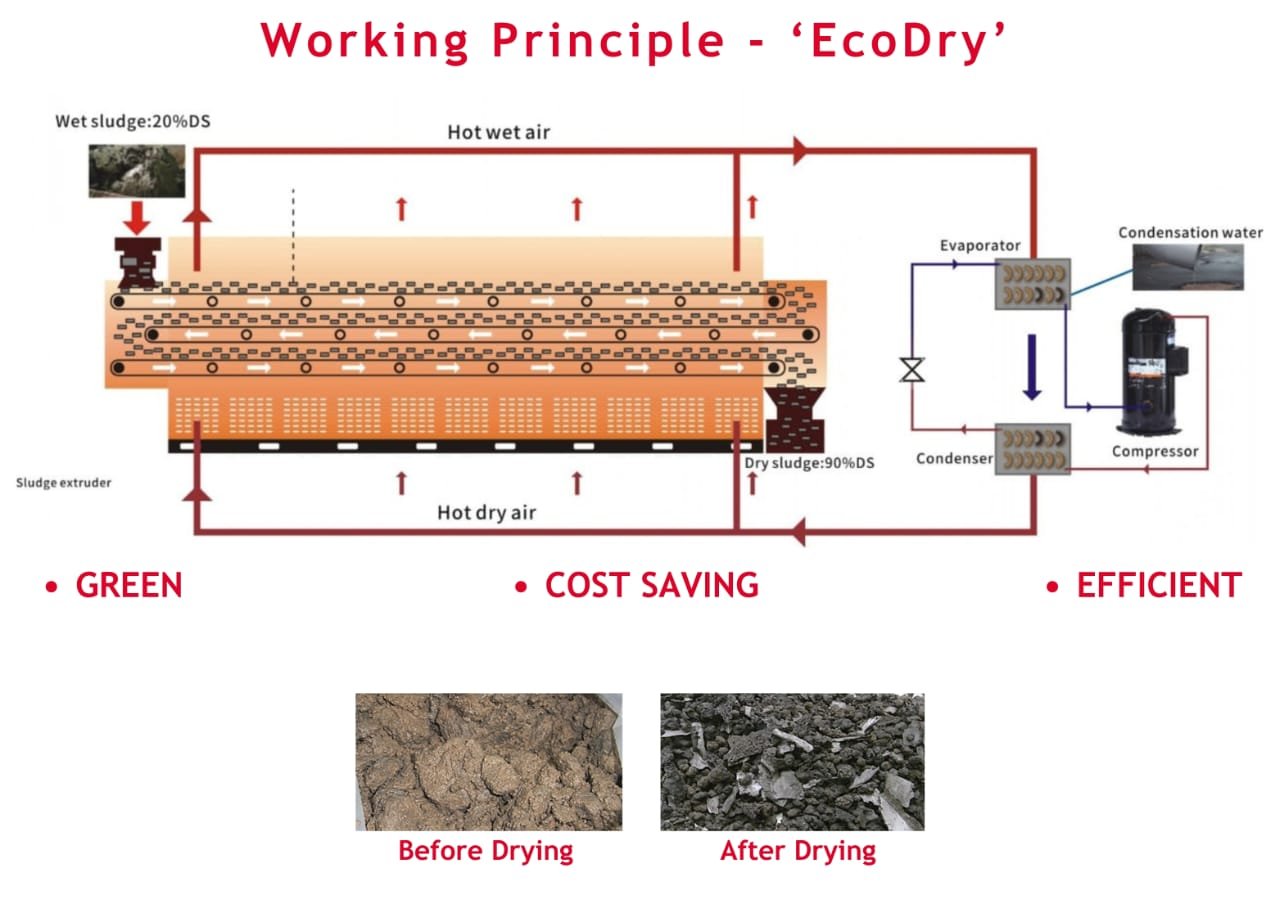 ‘EcoDry’ Low Temperature Sludge Dryer System - Ospuro